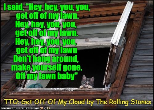 Mick says it so well - Lolcats - lol | cat memes | funny cats | funny ...