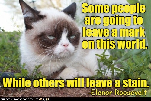 What will you do? - Lolcats - lol | cat memes | funny cats | funny cat ...