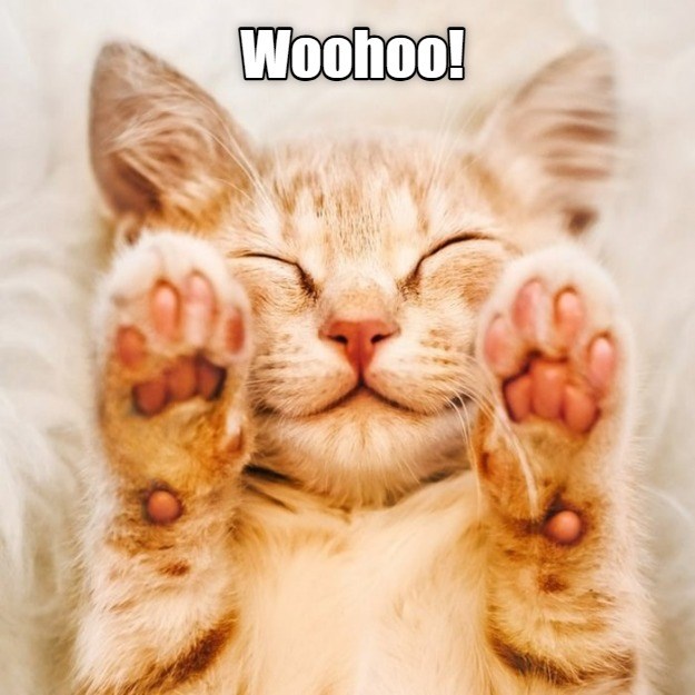 Woohoo! - Lolcats - lol | cat memes | funny cats | funny cat pictures ...