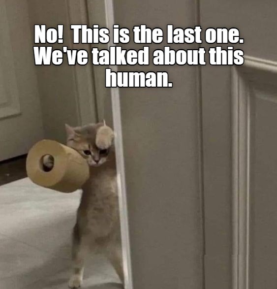 Last one! - Lolcats - lol | cat memes | funny cats | funny cat pictures ...