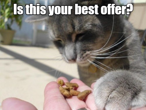 Is this your best offer? - Lolcats - lol | cat memes | funny cats ...