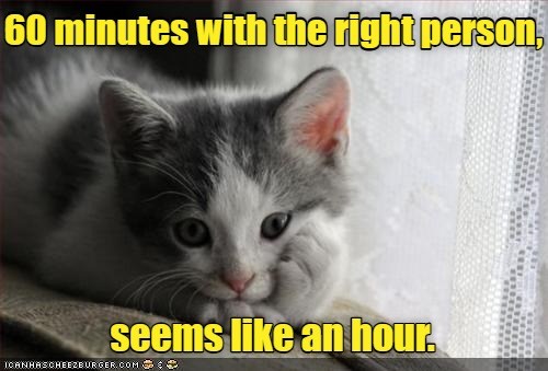 It's amazing how that happens. - Lolcats - lol | cat memes | funny cats ...
