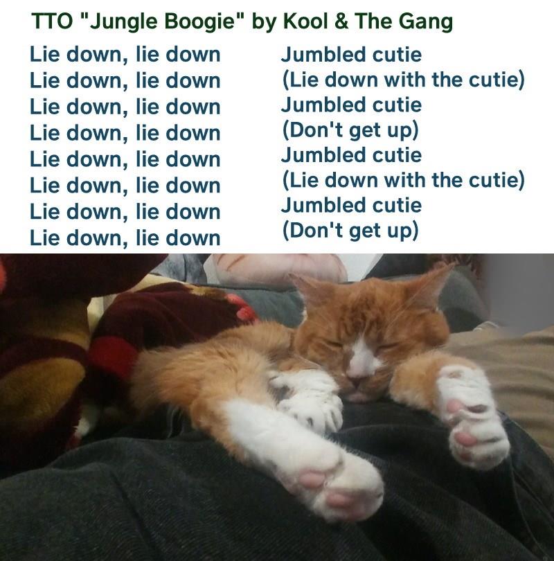 TTO "Jungle Boogie" by Kool & The Gang - Lolcats - lol | cat memes ...