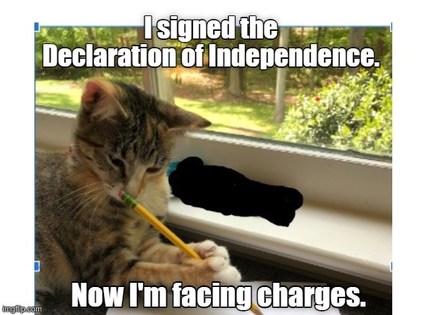 Nawt Fair! - Lolcats - lol | cat memes | funny cats | funny cat ...