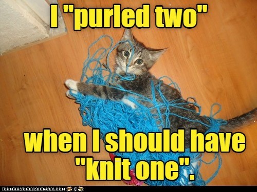 Knit wit - Lolcats - lol | cat memes | funny cats | funny cat pictures ...