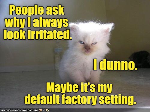 Smile? I AM smiling. - Lolcats - lol | cat memes | funny cats | funny ...