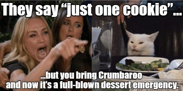 One cookie - Lolcats - lol | cat memes | funny cats | funny cat pictures with words on them ...