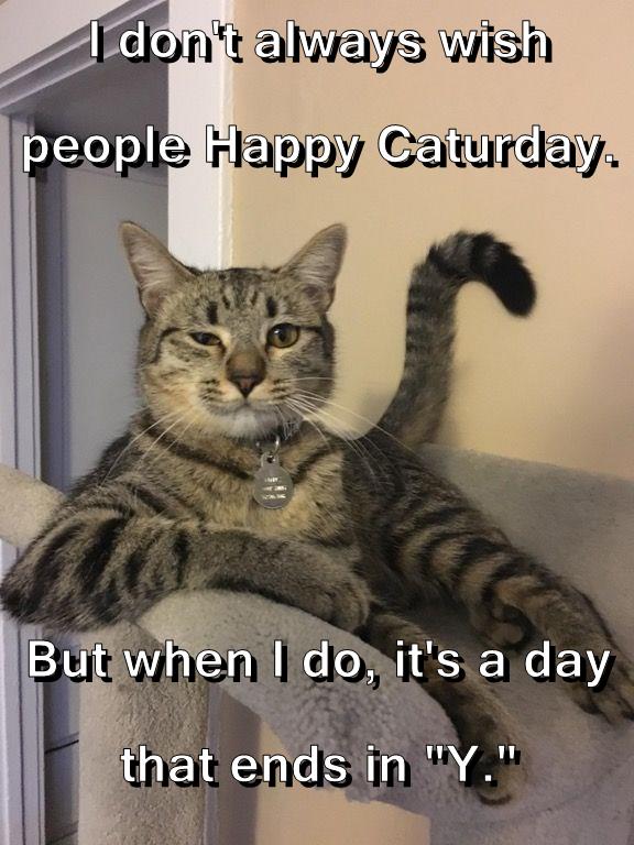 Happy Caturday - Lolcats - lol | cat memes | funny cats | funny cat ...