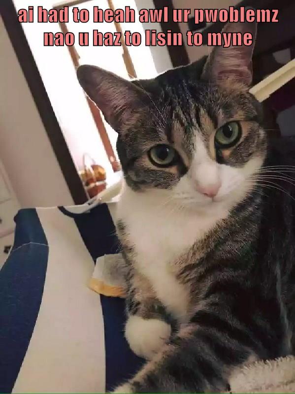 lisin to mi pwoblemz - Lolcats - lol | cat memes | funny cats | funny ...
