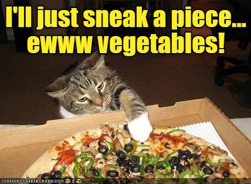 Vegetables belong in salad, not pizza. - Lolcats - lol | cat memes ...
