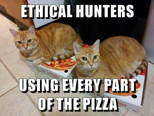 Ethical Hunters - Lolcats - lol | cat memes | funny cats | funny cat ...