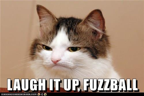 LAUGH IT UP, FUZZBALL - Lolcats - lol | cat memes | funny cats | funny ...