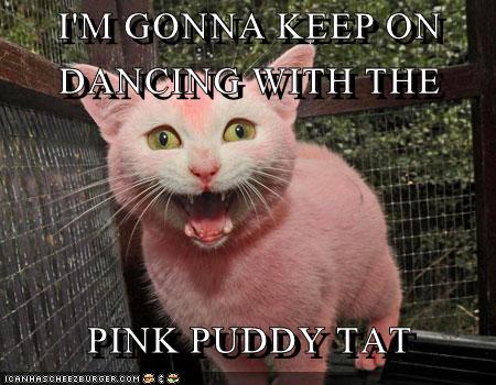 I'M GONNA KEEP ON DANCING WITH THE PINK PUDDY TAT - Lolcats - lol | cat ...