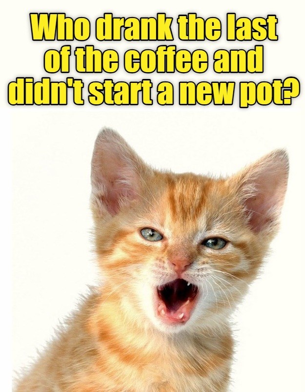 Coffee Cat has a question - Lolcats - lol | cat memes | funny cats ...