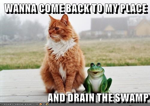 Drain the swamp - Lolcats - lol | cat memes | funny cats | funny cat ...