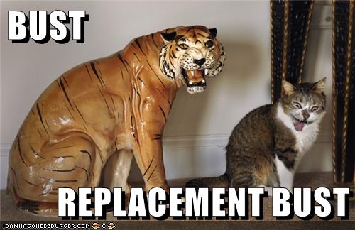 Bust - Lolcats - lol | cat memes | funny cats | funny cat pictures with ...