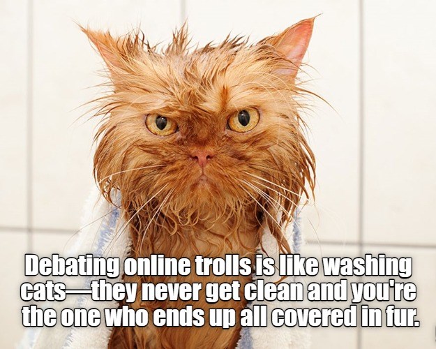 Not a constructive debate - Lolcats - lol | cat memes | funny cats ...