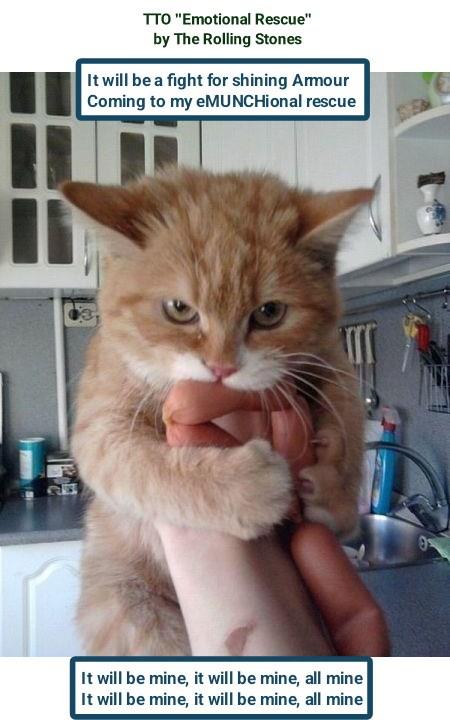 TTO "Emotional Rescue" by The Rolling Stones - Lolcats - lol | cat ...