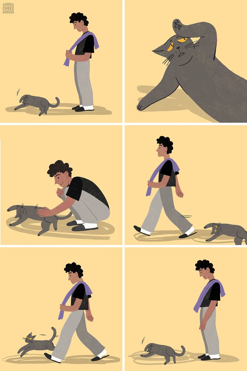 Drama Cat - I Can Has Cheezburger?