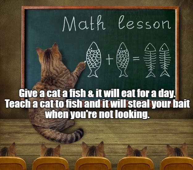 Simple logic... - Lolcats - lol | cat memes | funny cats | funny cat ...