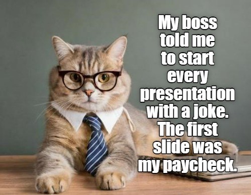 LOL? - Lolcats - lol | cat memes | funny cats | funny cat pictures with ...