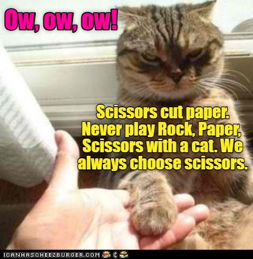 I'm making an appointment to have you de-clawed. - Lolcats - lol | cat ...