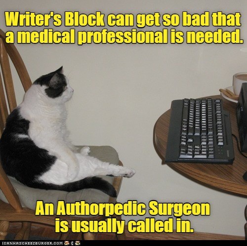 So noted. - Lolcats - lol | cat memes | funny cats | funny cat pictures ...