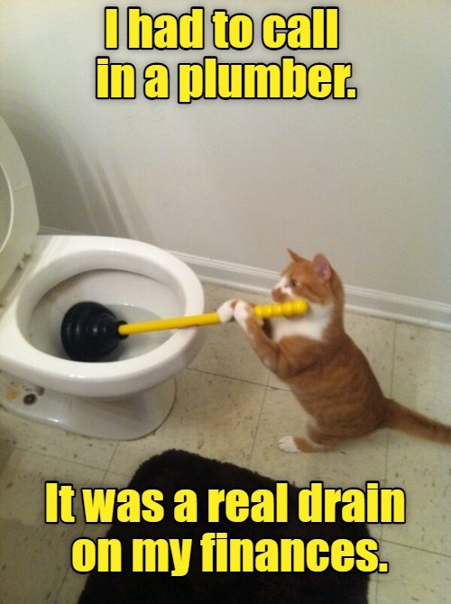 It left a sinking feeling. - Lolcats - lol | cat memes | funny cats ...