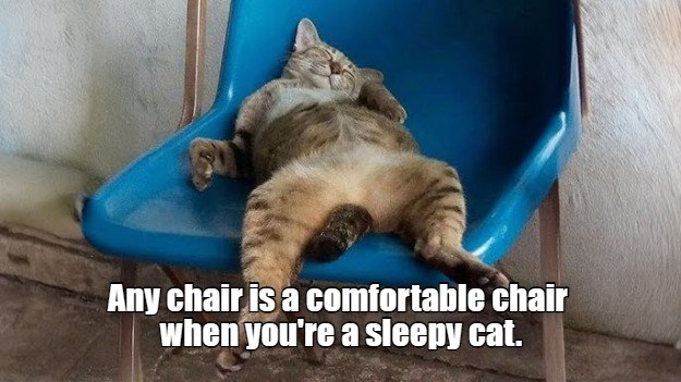 Eepy - Lolcats - lol | cat memes | funny cats | funny cat pictures with ...