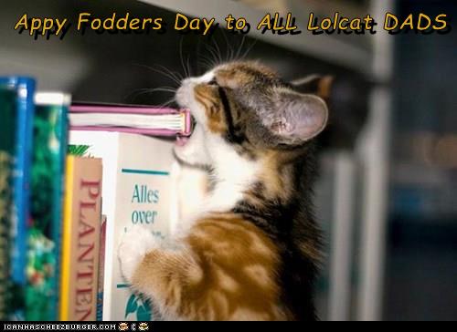 For U, Lolcat DADS - Lolcats - lol | cat memes | funny cats | funny cat ...