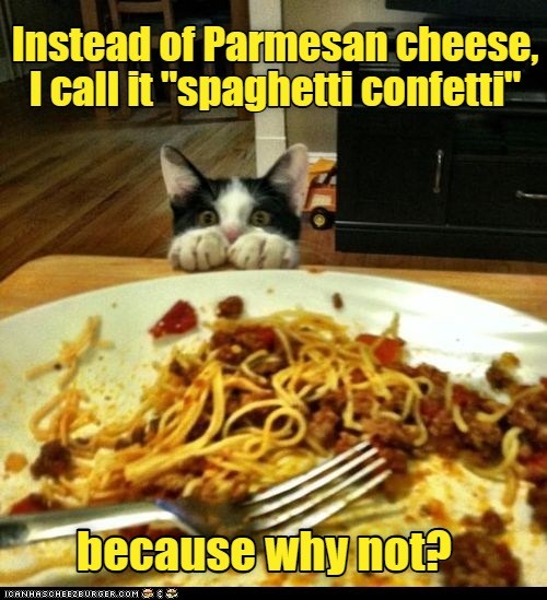 Spaghetti Confetti - Lolcats - lol | cat memes | funny cats | funny cat ...