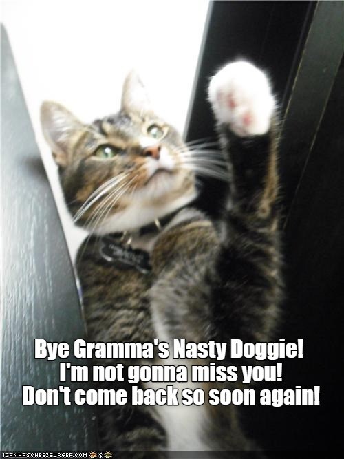 Bye bye! - Lolcats - lol | cat memes | funny cats | funny cat pictures ...