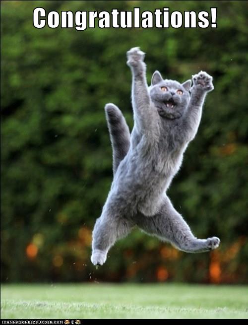 YAY - Lolcats - lol | cat memes | funny cats | funny cat pictures with ...