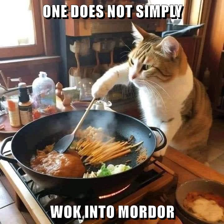 Did you wok there? - Lolcats - lol | cat memes | funny cats | funny cat ...
