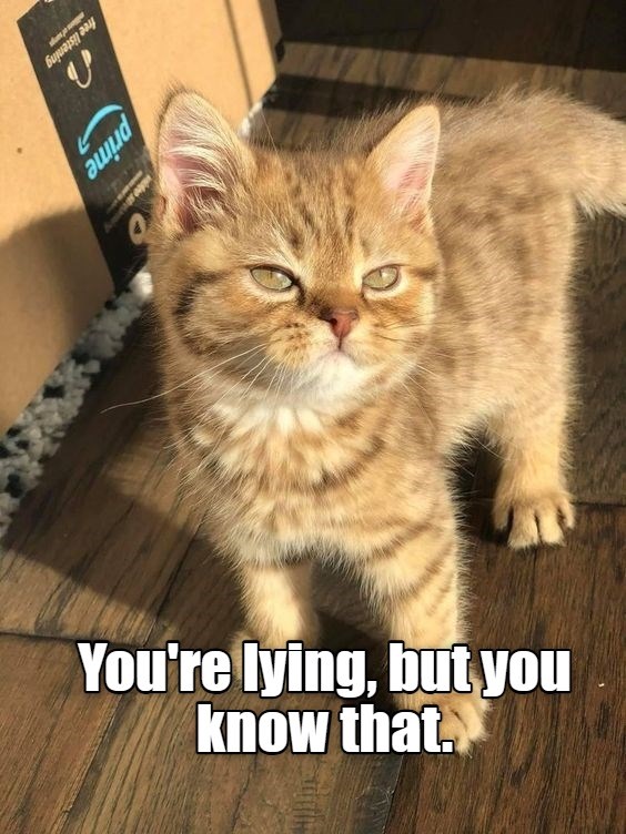 You know you know. - Lolcats - lol | cat memes | funny cats | funny cat ...