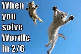 Woohoo! - Lolcats - lol | cat memes | funny cats | funny cat pictures ...