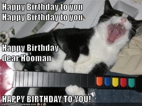 Very happy indeed - Lolcats - lol | cat memes | funny cats | funny cat ...