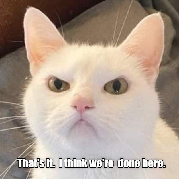 Done - Lolcats - lol | cat memes | funny cats | funny cat pictures with ...