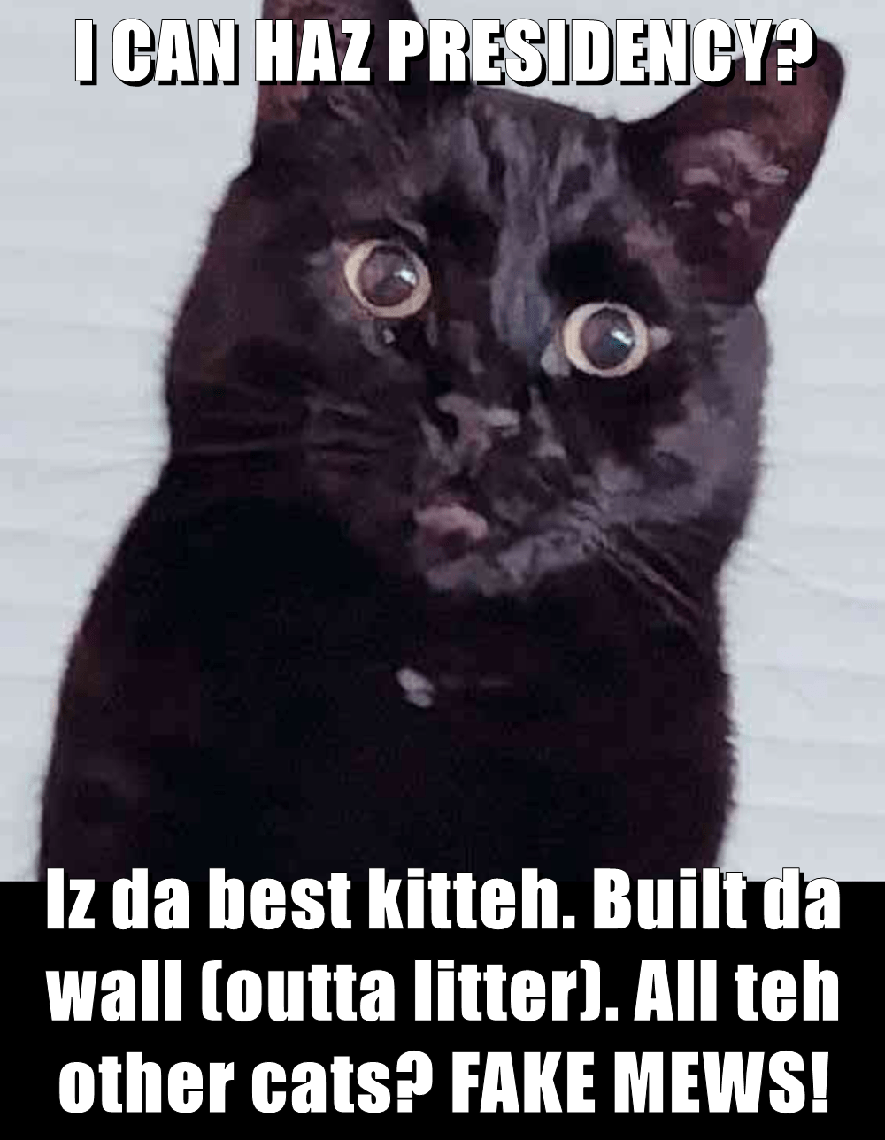 I Can Haz Presidency? - Lolcats - lol | cat memes | funny cats | funny cat pictures with words ...