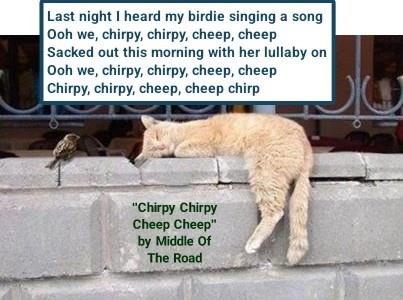 "Chirpy Chirpy Cheep Cheep" by Middle of the Road - Lolcats - lol | cat ...