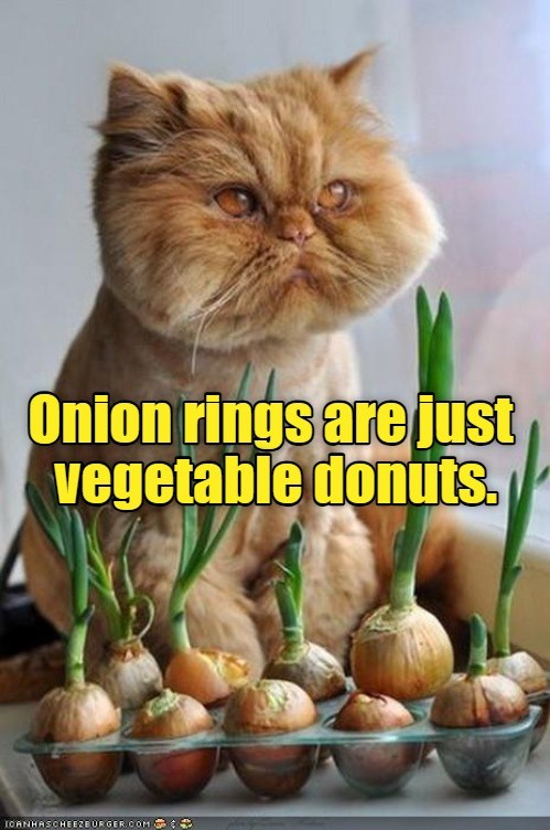 About the only way I'll eat them. - Lolcats - lol | cat memes | funny ...