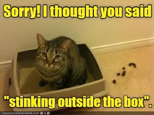 Enunciate please. - Lolcats - lol | cat memes | funny cats | funny cat ...