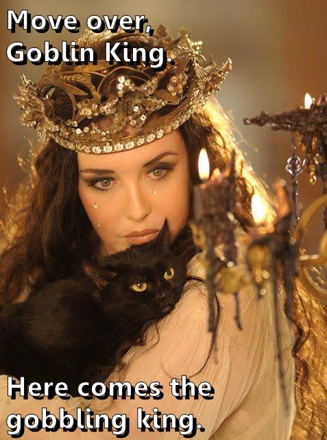 Gobbling King - Lolcats - lol | cat memes | funny cats | funny cat ...