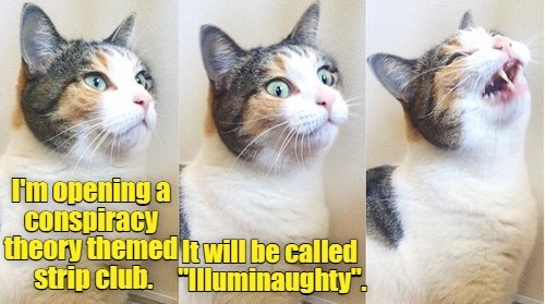 Joke Cat shouldn't quit his day job. - Lolcats - lol | cat memes ...
