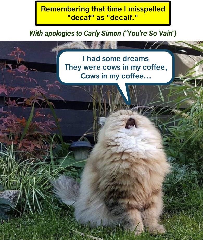 With apologies to Carly Simon ("You're So Vain") - Lolcats - lol | cat ...