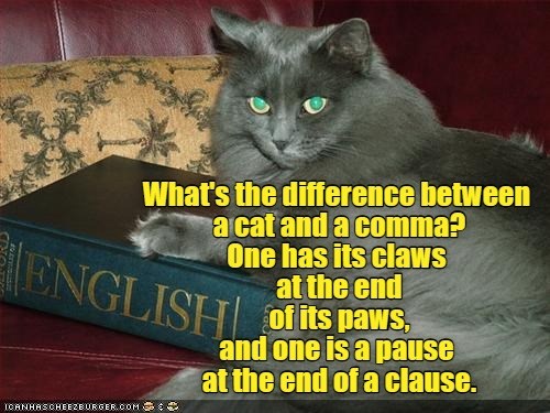 Communications 101 - Lolcats - lol | cat memes | funny cats | funny cat ...