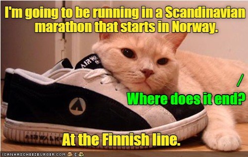 Just run - Lolcats - lol | cat memes | funny cats | funny cat pictures ...