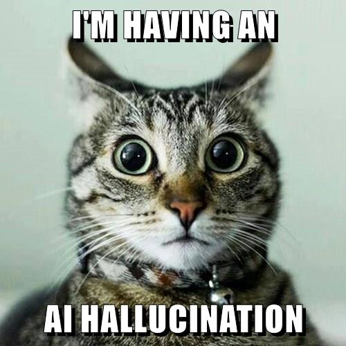 I'M HAVING AN AI HALLUCINATION - Lolcats - lol | cat memes | funny cats ...