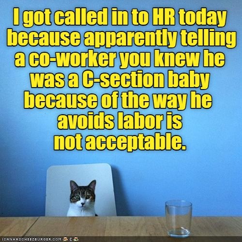 Acceptable, no. Funny, yes. - Lolcats - lol | cat memes | funny cats ...