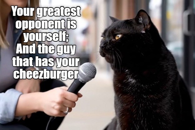 Sorts Cliches - Lolcats - lol | cat memes | funny cats | funny cat ...